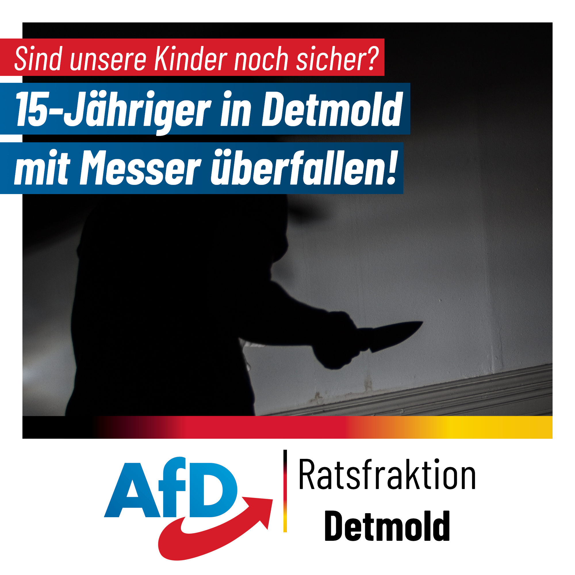 Ratsfraktion Detmold – AfD Kreisverband Lippe
